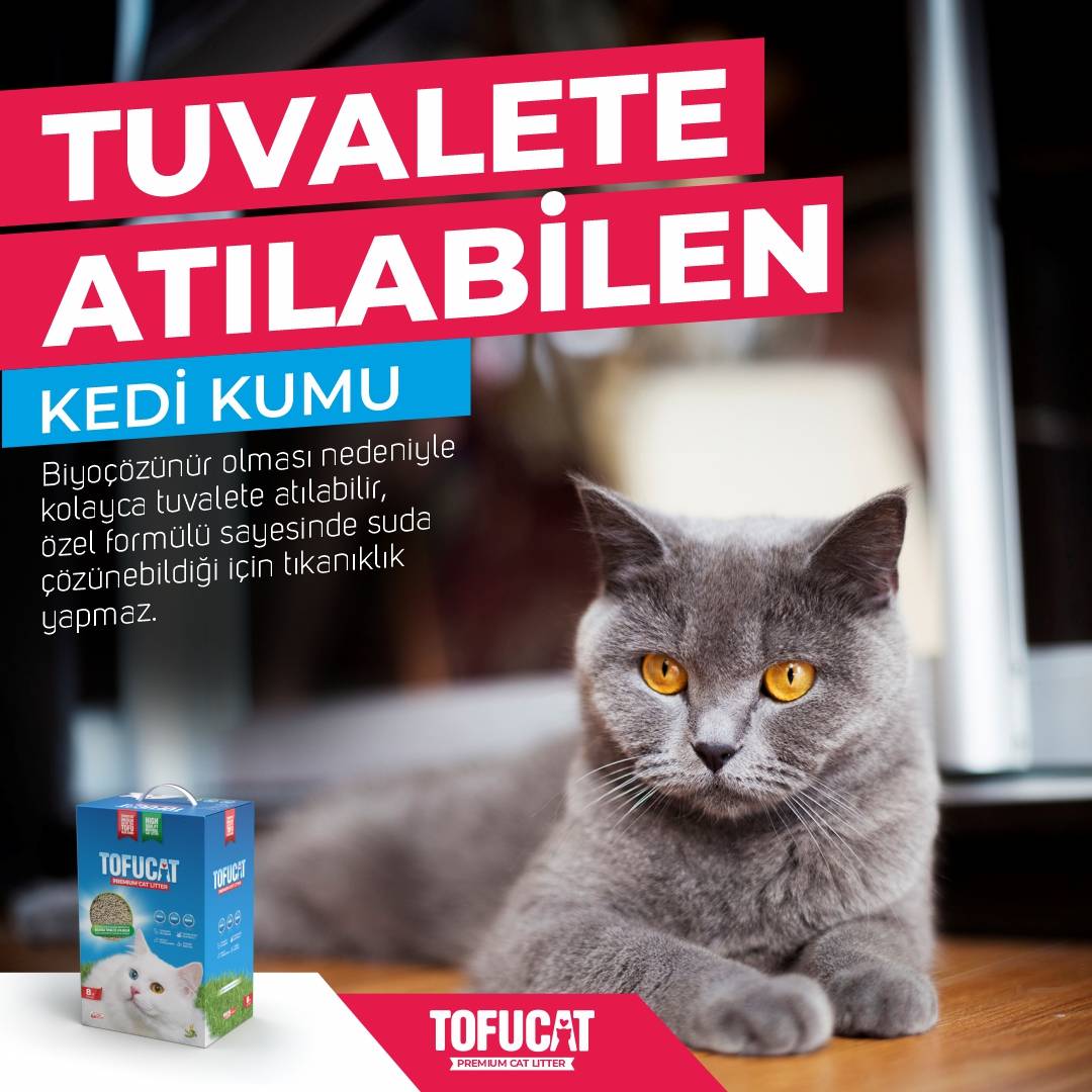 TofuCat, Topaklanan, Üstün Koku Hapsedebilen, Parfümsüz, Tuvalete atılabilen, Doğal, Tofu Kedi ...